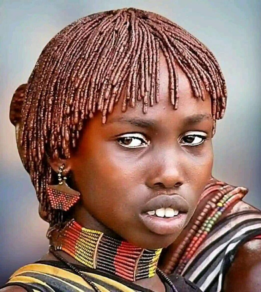 Unveiling the Cultural Marvels of the Hamar Tribe: Tradition and ...